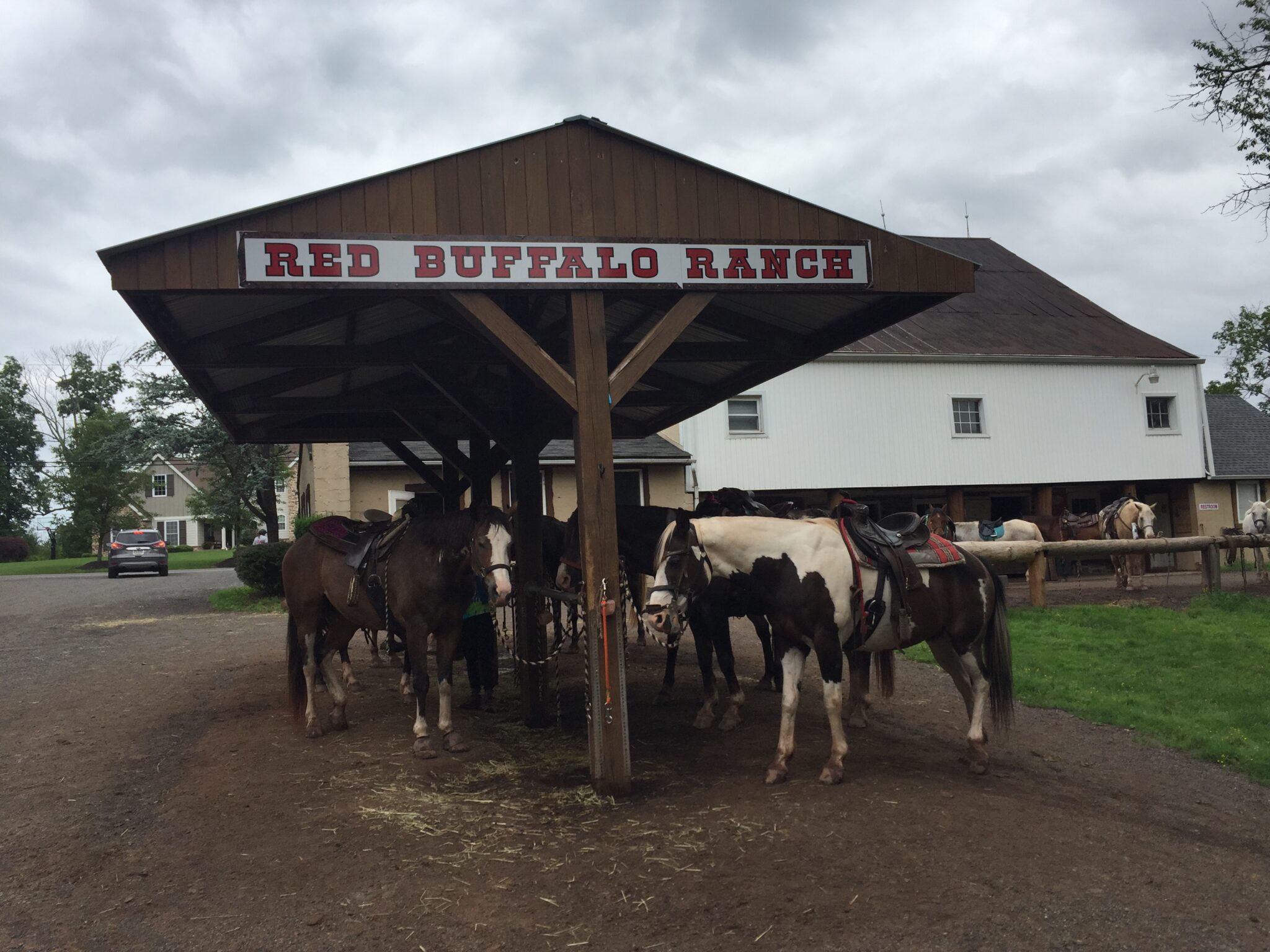 Riding Stable Offers Second Career for Former Montco D.A. – Delaware ...