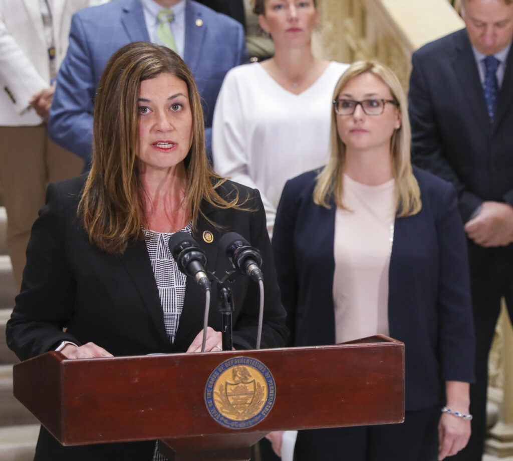 Rep. Kristen Marcell Archives – DV Journal